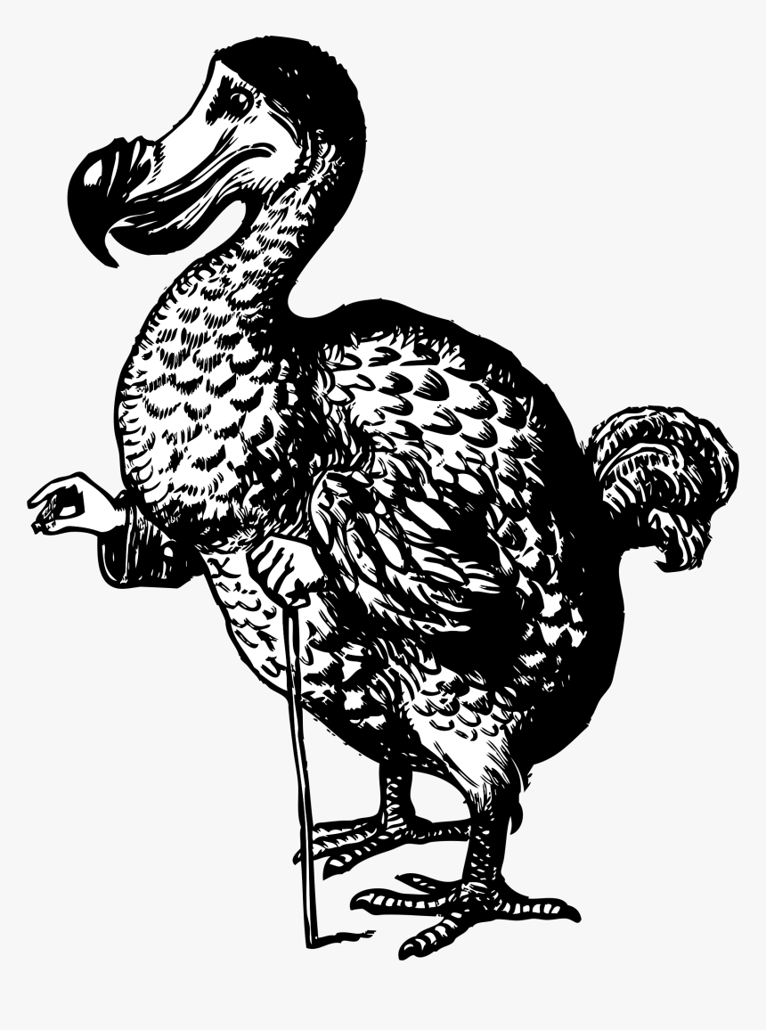 The Dodo From Alice In Wonderland - Alice In Wonderland Original Dodo ...