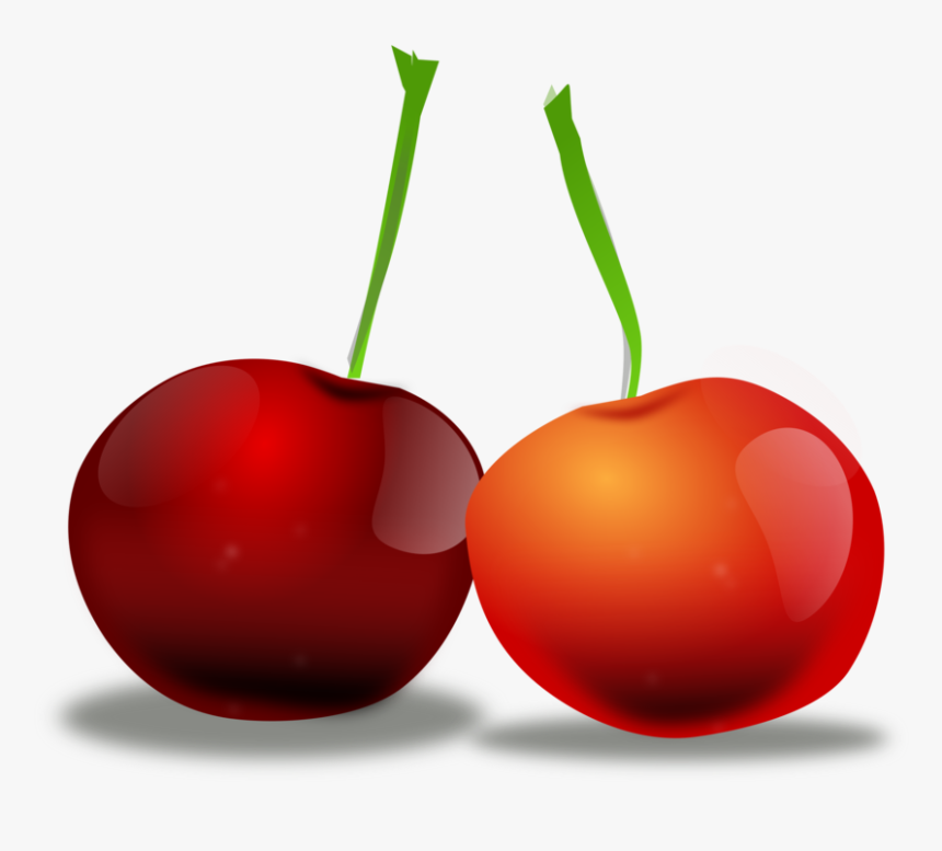 Custom Cherries Shower Curtain - Cherry Picture No Background, HD Png ...