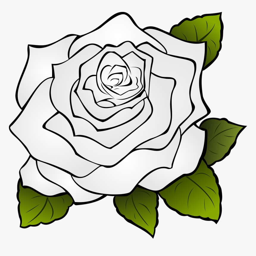 Rose Outline Transparent, HD Png Download , Transparent Png Image - PNGitem