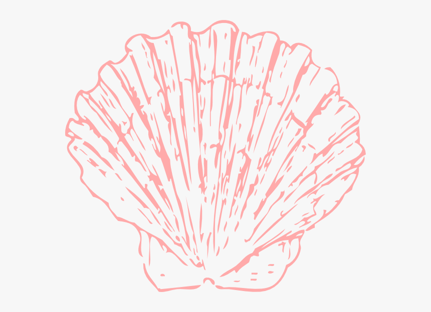 High Resolution Seashell Png Icon - Coral Shell Clipart, Transparent ...