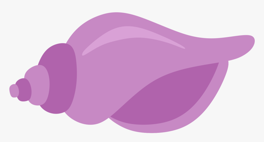 Purple Seashell Clipart