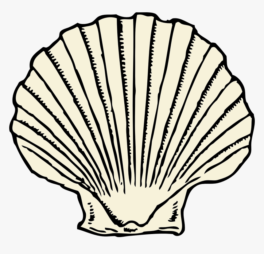 Graphic Black And White Stock Scallop Shell Outline - Scallop Clipart ...