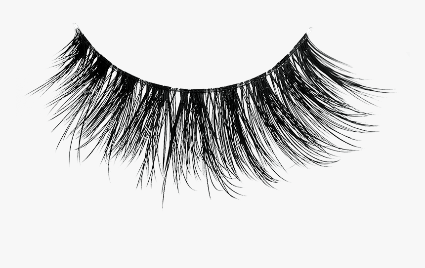 Eyelash Transparent, HD Png Download , Transparent Png Image - PNGitem