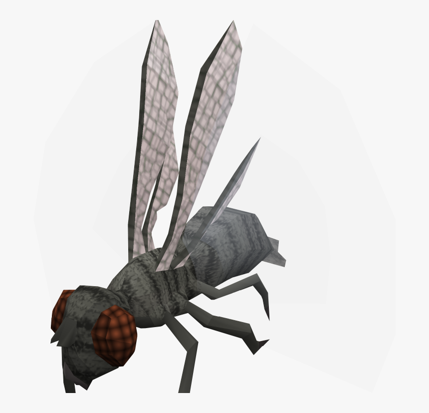 Demonic Giant Flies Pathfinder, HD Png Download , Transparent Png Image ...