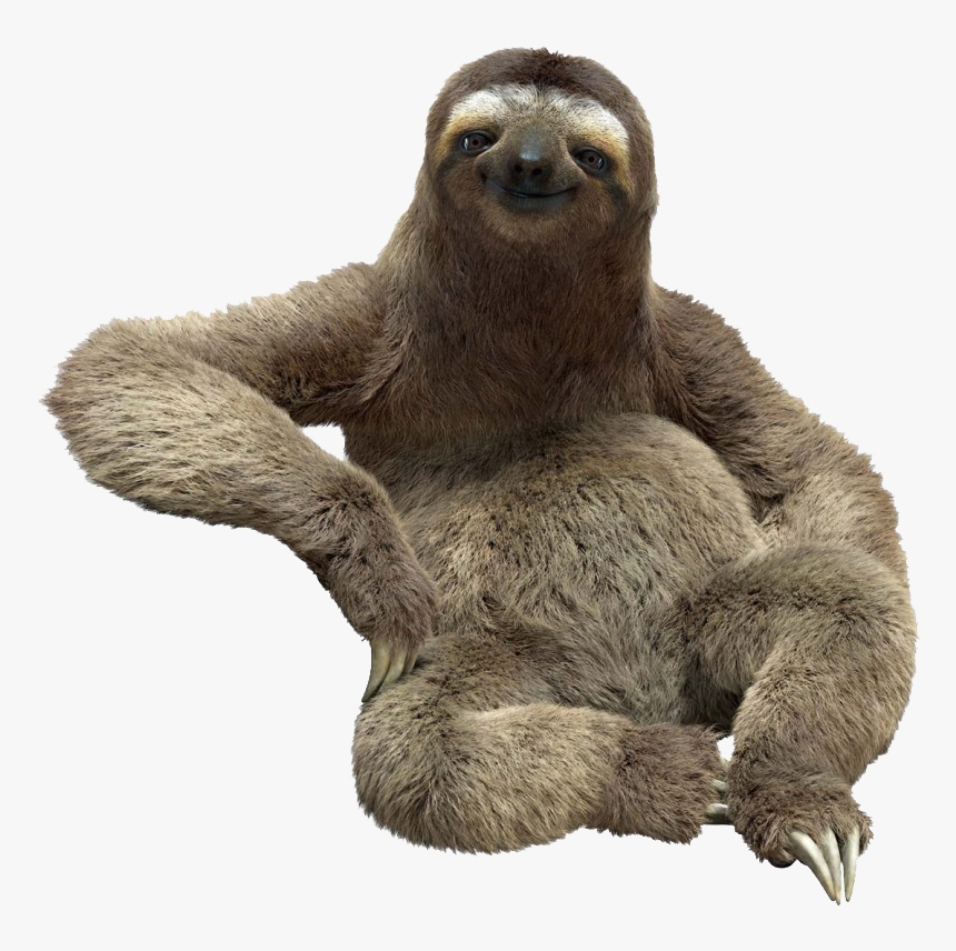 Sloth Png Image Download - Sloth Png, Transparent Png , Transparent Png ...