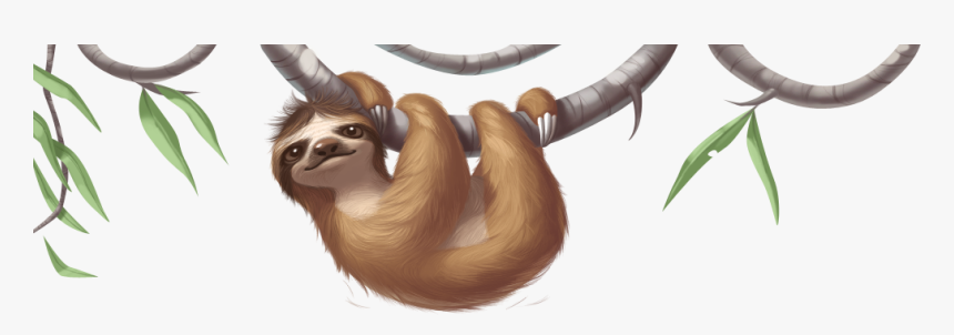 Sloth Png - Transparent Background Sloths Png, Png Download ...