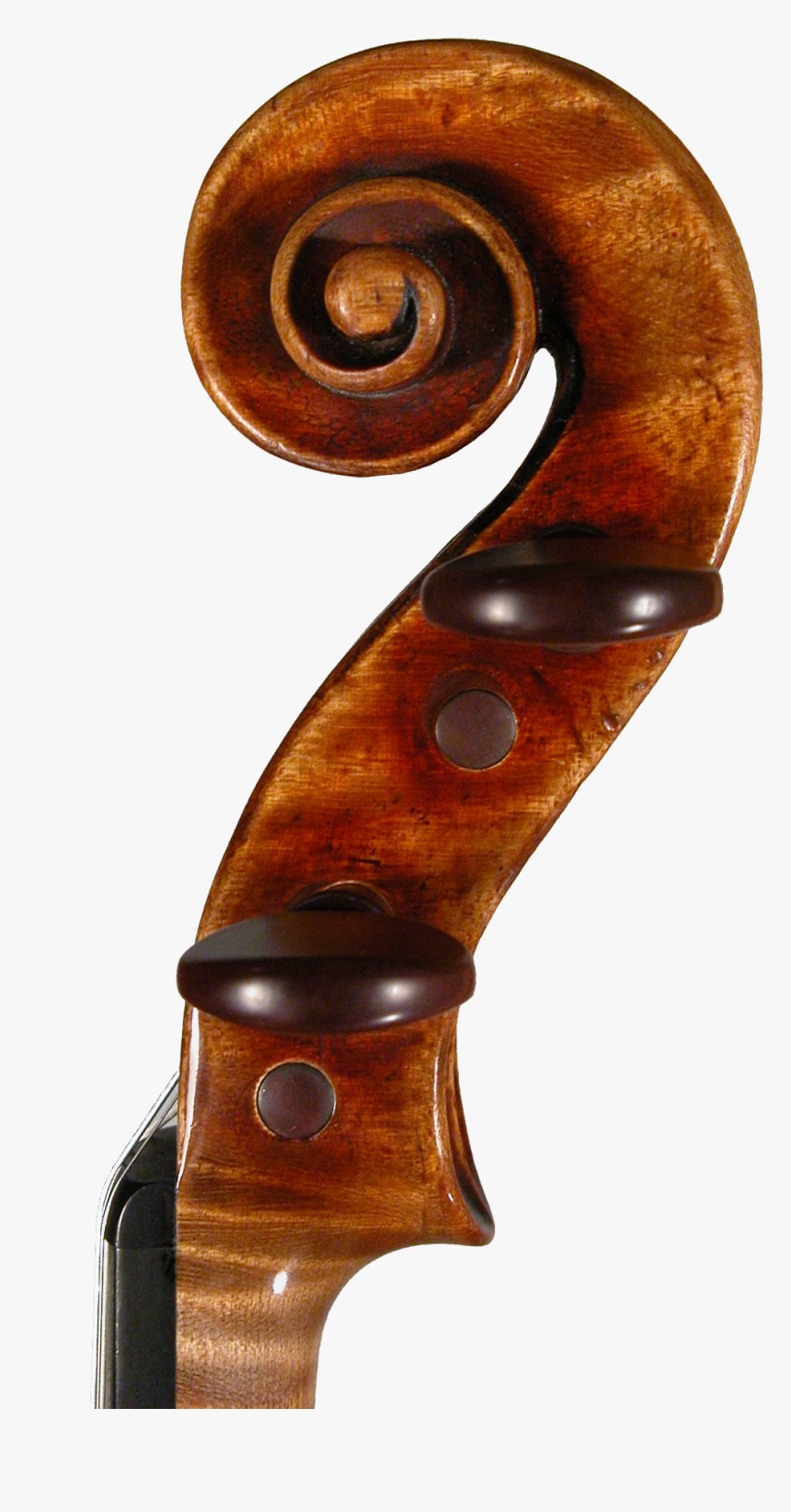 Picture Right Side Scroll Violin - Violin Scroll Png, Transparent Png ...