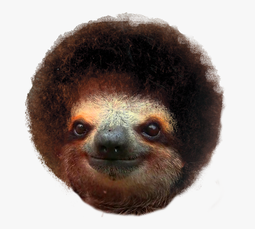 Bob Ross And Sloths , Png Download - Bob Ross And Sloth, Transparent Png , Transparent Png Image ...