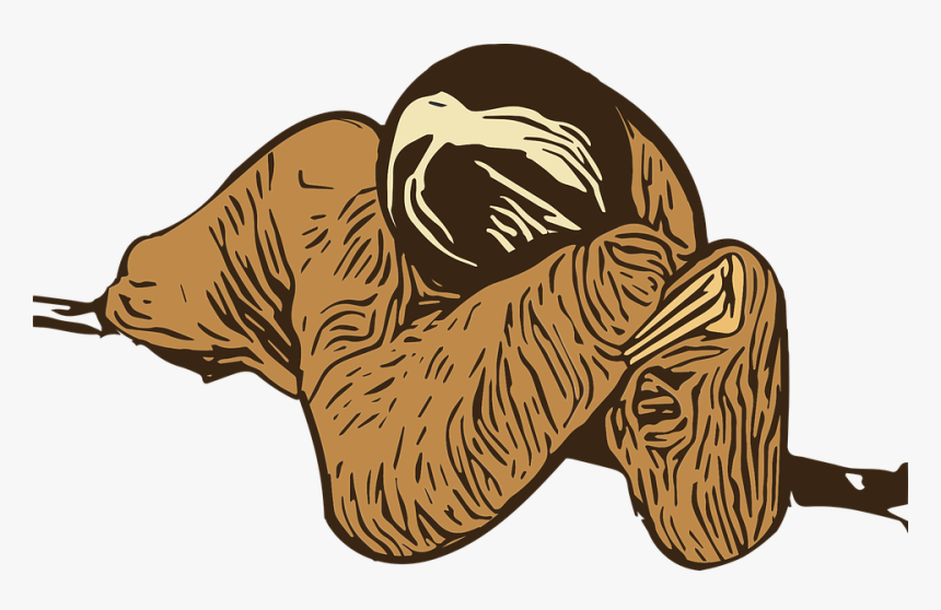 Graphic, Sloth, Wild, Rainforest, Animal, Wildlife - Naked Mole-rat, HD ...