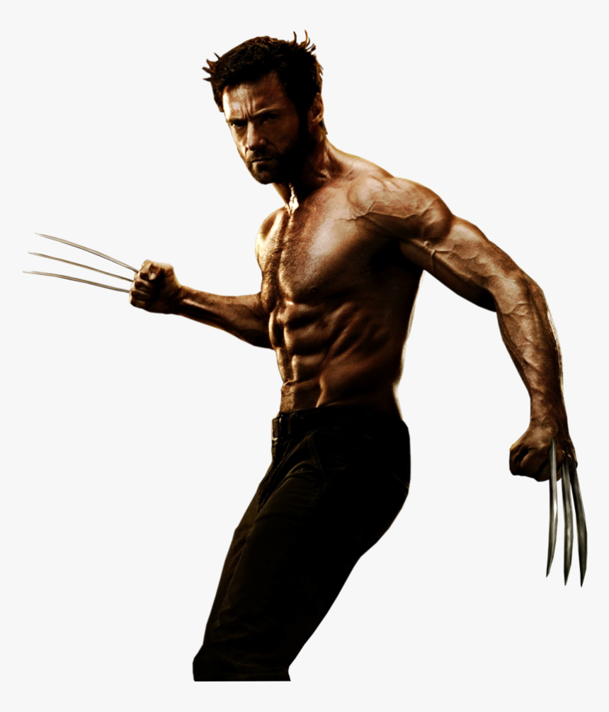 Wolverine Png Transparent Images - Wolverine Png, Png Download ...