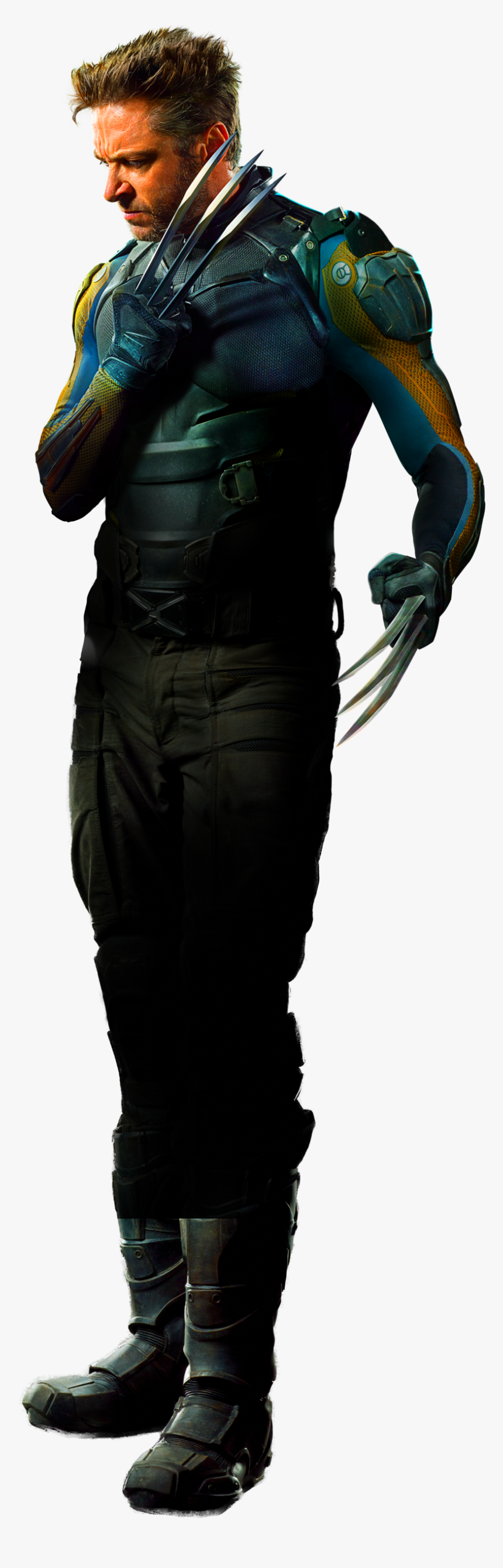 Hugh Jackman Png Hd Image - Hugh Jackman Wolverine Png, Transparent Png ...