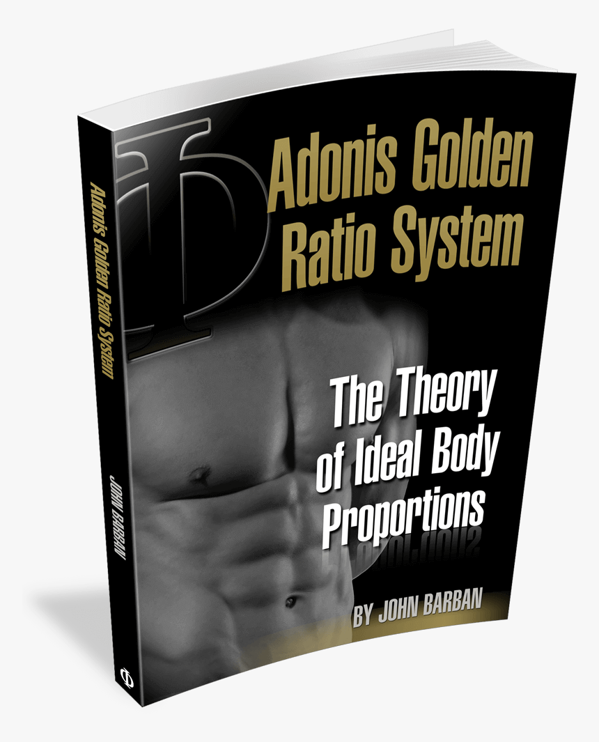 Adonis Golden Ratio - Design, HD Png Download , Transparent Png Image ...