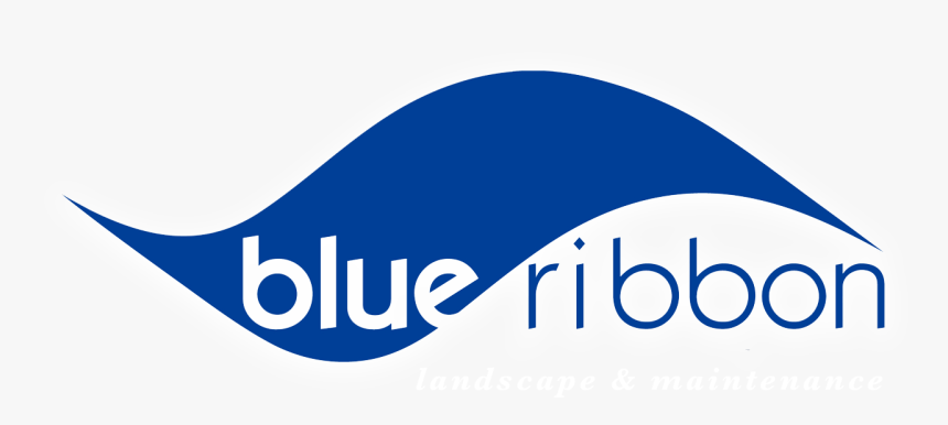 Blue Ribbon Logo Png, Transparent Png , Transparent Png Image - PNGitem