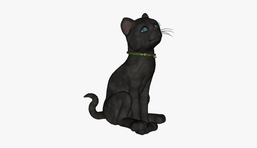 Episode Cat Overlay, HD Png Download , Transparent Png Image - PNGitem