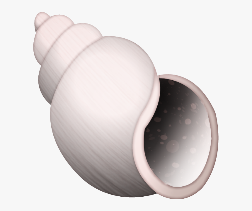 Spiral Shell Emoji Png, Transparent Png , Transparent Png Image - PNGitem
