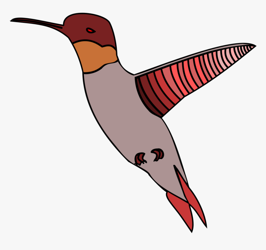 Flying Humming Bird Clip Arts - Ruby-throated Hummingbird, HD Png ...