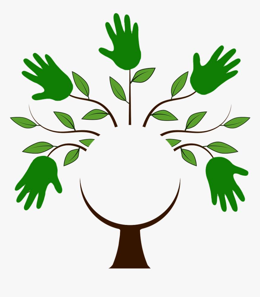 Tree Png With Seven Branches, Transparent Png , Transparent Png Image ...