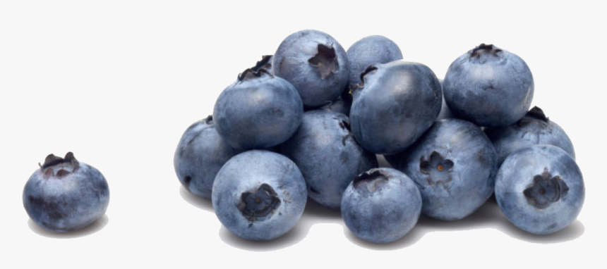 Blueberry Png Download - White Powder On Fruit, Transparent Png ...