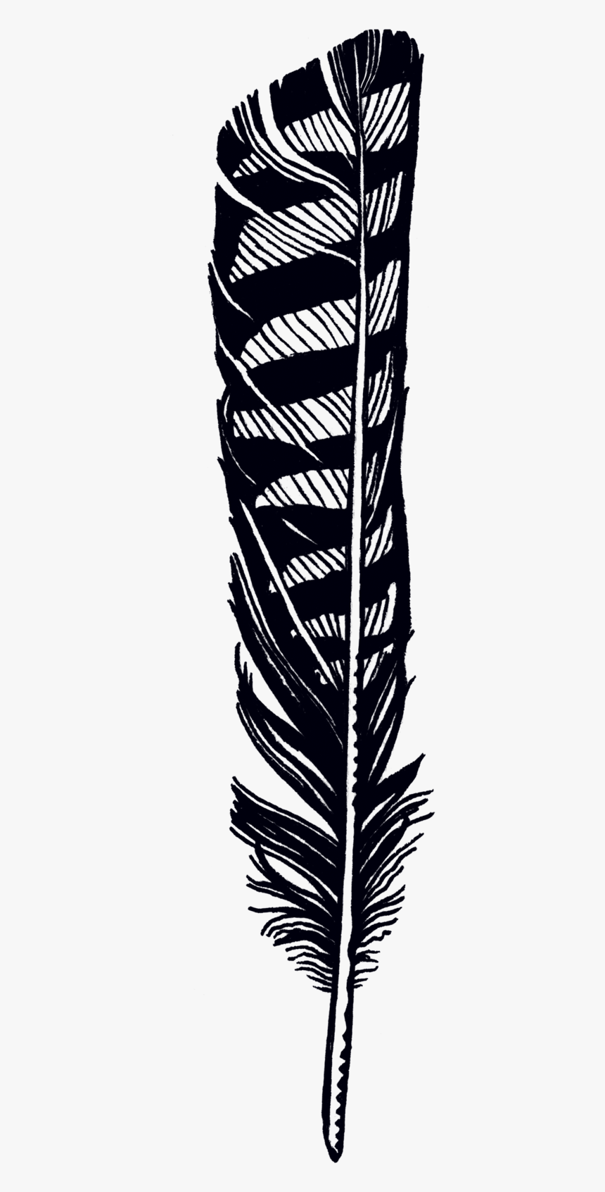 Hawk Feather Tattoo Designs, HD Png Download , Transparent Png Image ...