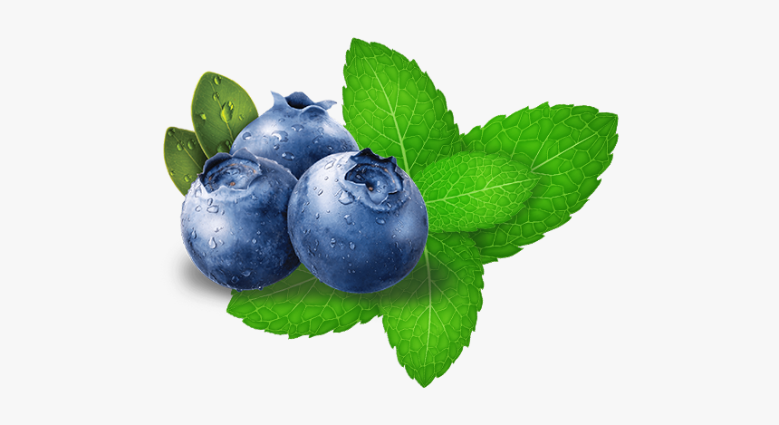 Hookafina Blueberry Mint - Blueberry Gif Transparent Background, HD Png ...