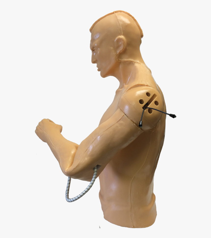 Hawk Upper Body - Figurine, HD Png Download , Transparent Png Image ...