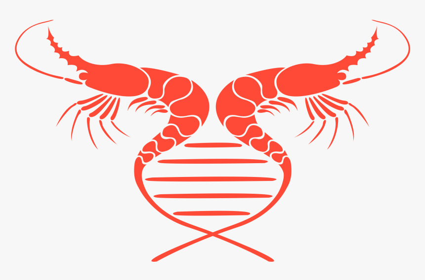 Shrimp Logo Png, Transparent Png , Transparent Png Image - PNGitem