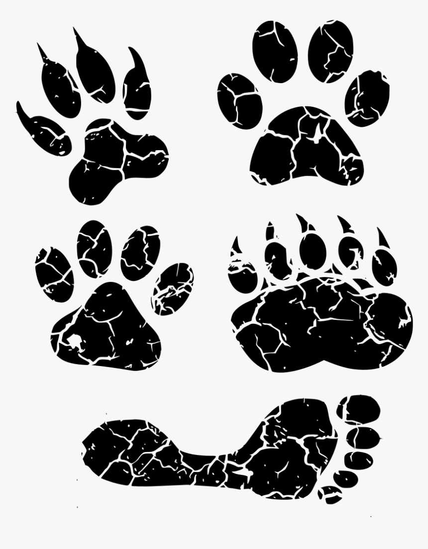 Download Png - Paw - Paw, Transparent Png , Transparent Png Image - PNGitem