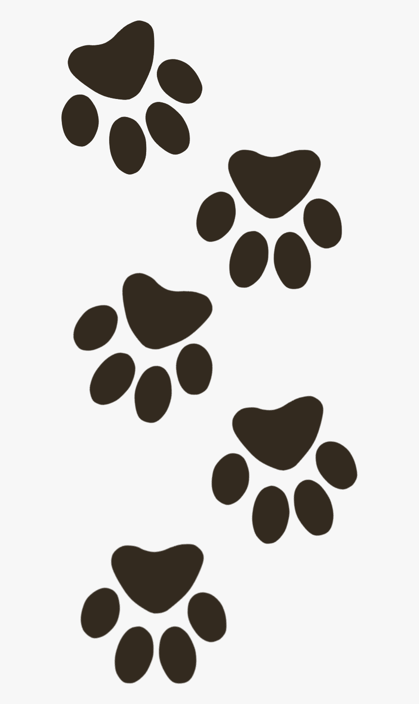 Paw , Png Download - Paws, Transparent Png , Transparent Png Image - PNGitem
