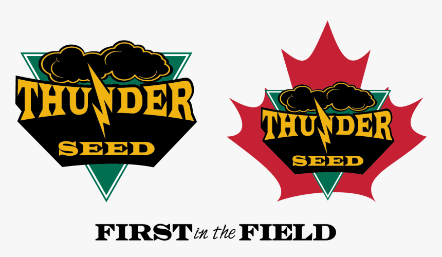 Thunder Seed Logo, HD Png Download , Transparent Png Image - PNGitem