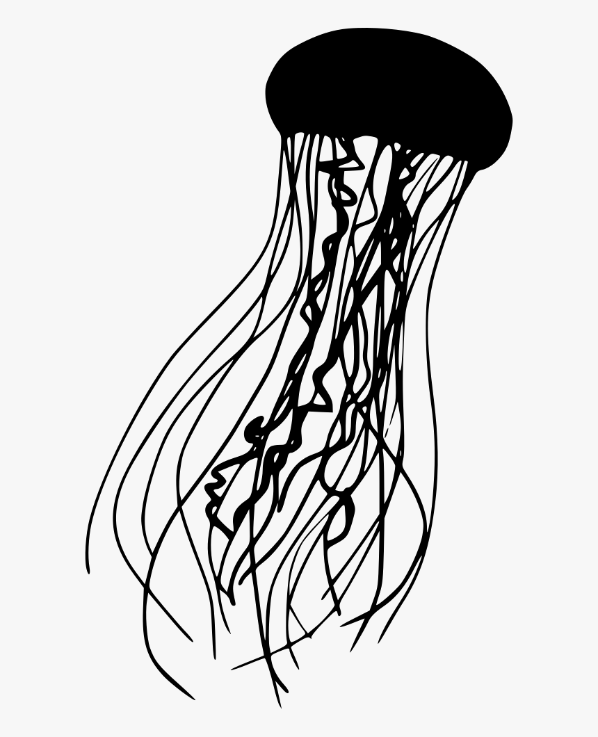 Jellyfish Png - Jellyfish Icon Png, Transparent Png , Transparent Png ...
