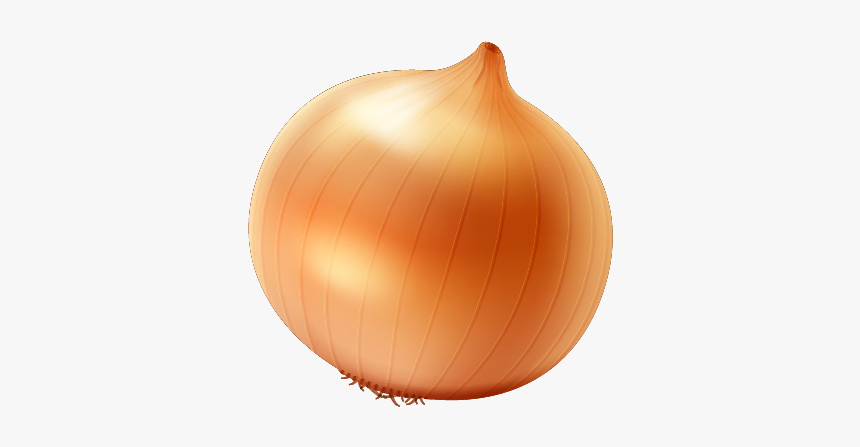Single Onion