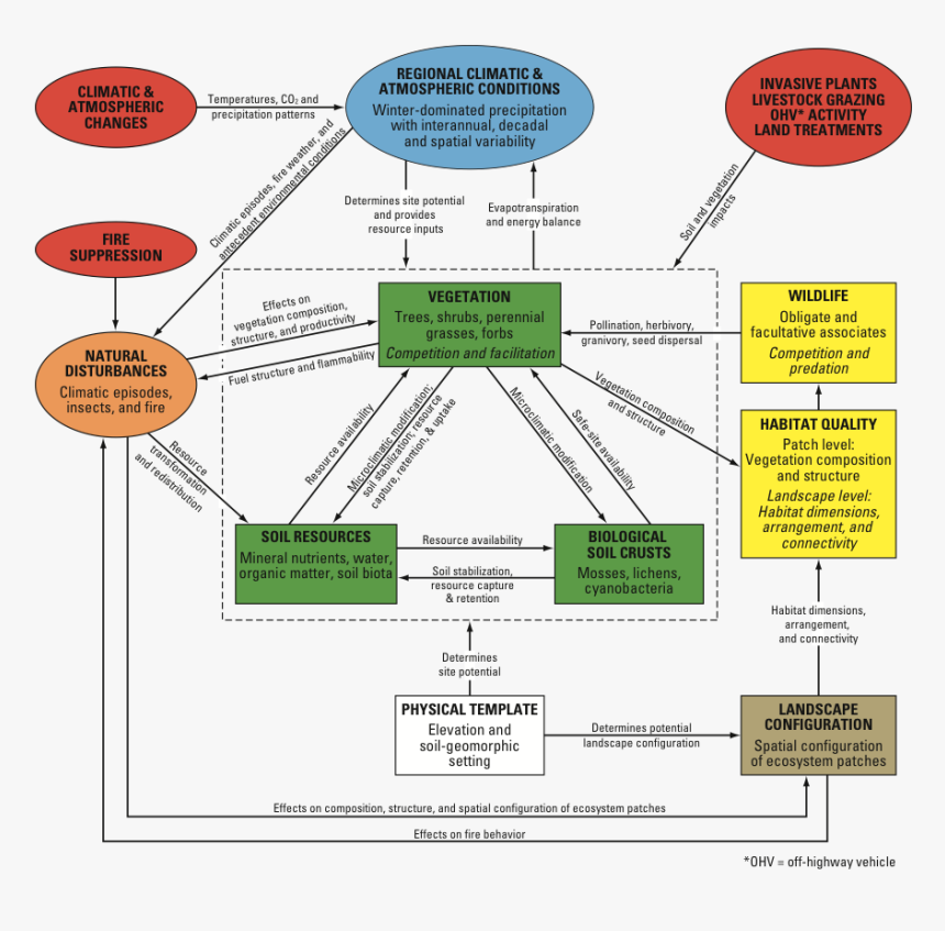 Control Model Illustrating Key Components , Ecosystem - Conceptual ...