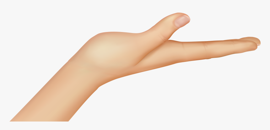Palm Flat Of Hand - Hand Png, Transparent Png , Transparent Png Image ...