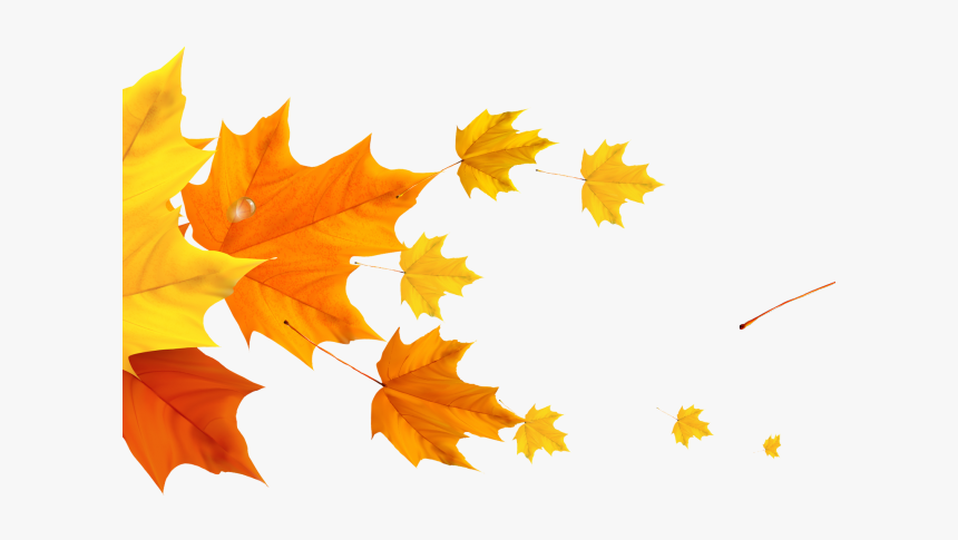 Autumn Divider Cliparts - Fall Leaves Transparent Background, HD Png ...