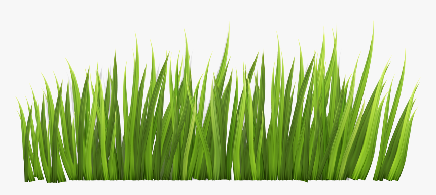 Grass Line Clipart - Grass Clipart, HD Png Download , Transparent Png ...