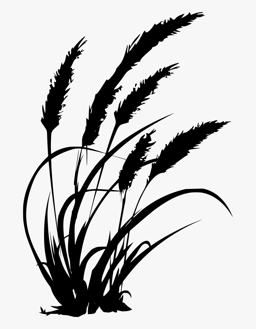 Agriculture In Black And White, HD Png Download , Transparent Png Image ...