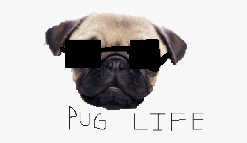 Png Pug Life, Transparent Png , Transparent Png Image - PNGitem