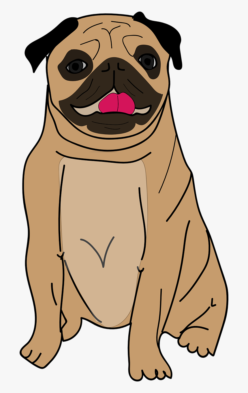Transparent Pug Vector, HD Png Download , Transparent Png Image - PNGitem