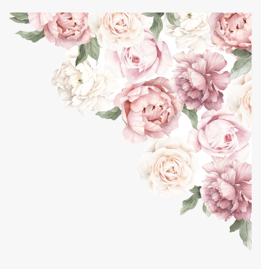 Peony Flower Peony Corner, HD Png Download , Transparent Png Image ...