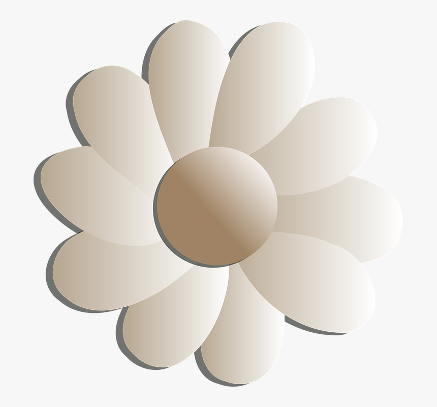 Flowers, White, Floral, Blooming, Blossom, Spring - Clip Art Flower ...