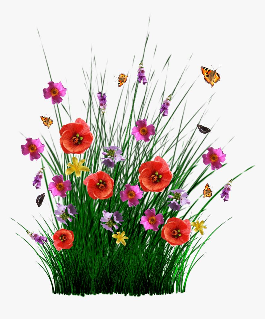 Transparent Spring Flower Png - Field Flowers Png, Png Download ...