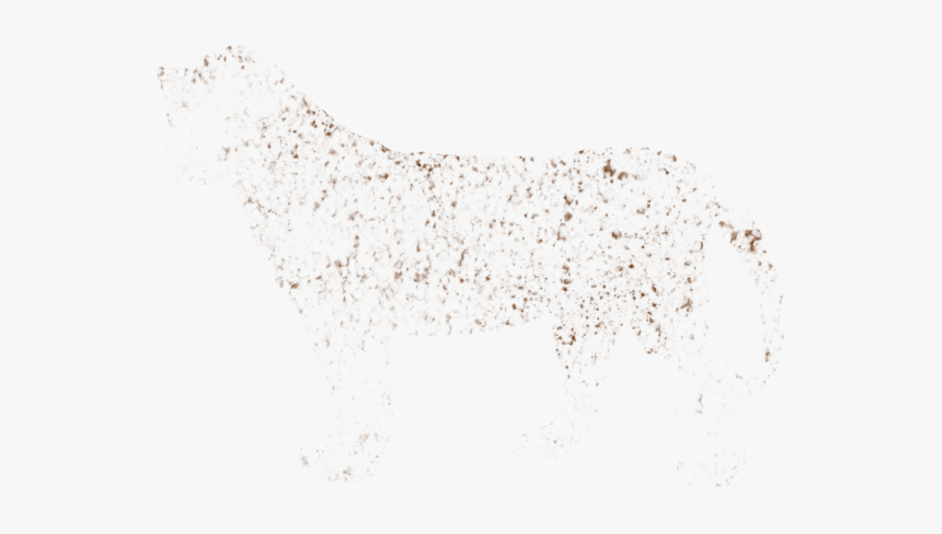 Freckles Png File - Bird, Transparent Png , Transparent Png Image - PNGitem