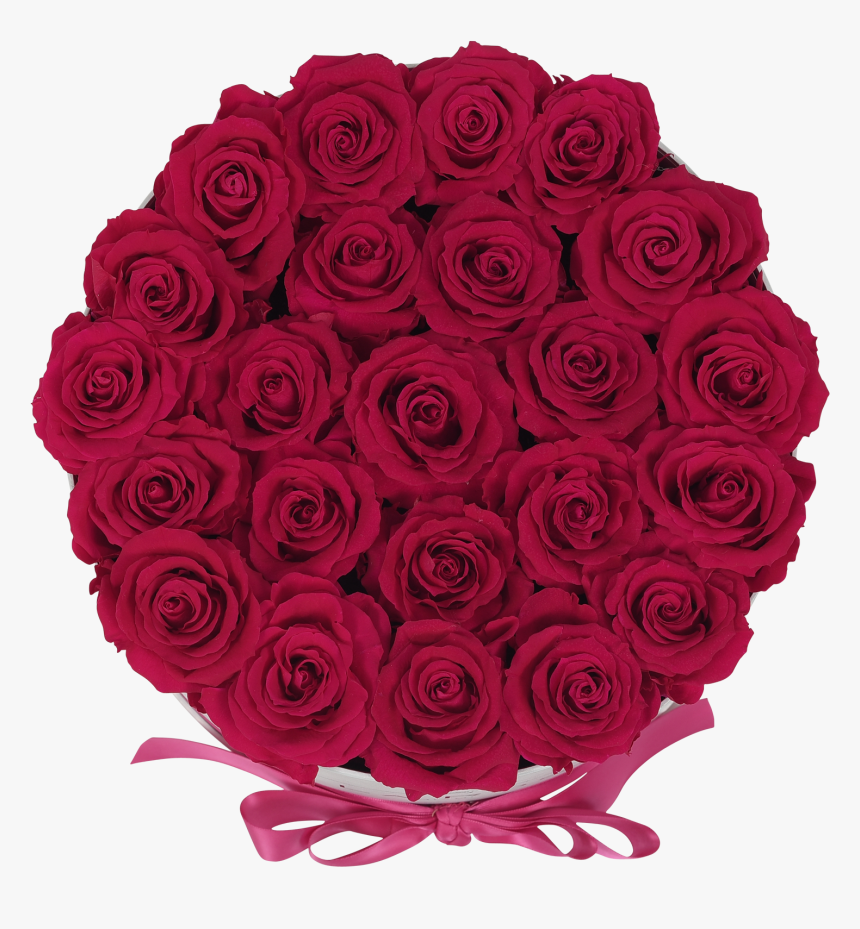 Orb Deluxe Hot Pink Roses Class Lazyload Lazyload - Garden Roses, HD ...