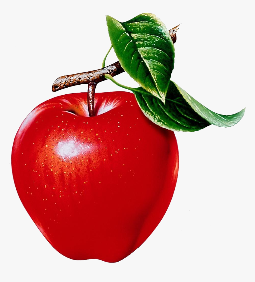 Rubrics Graphic Royalty Free Library - Apple Fruits, HD Png Download ...