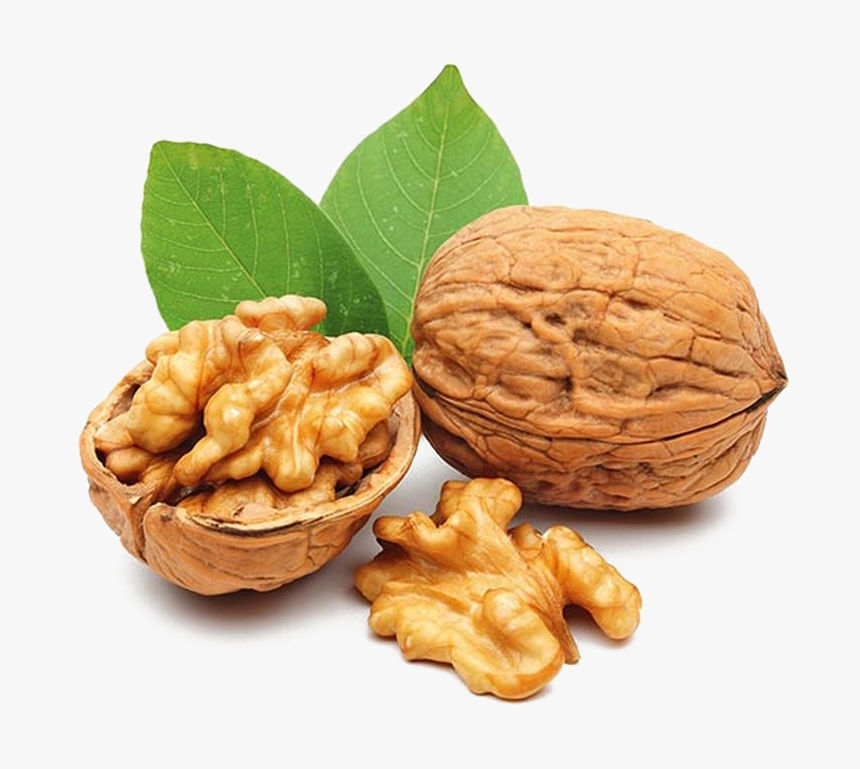 Nut Transparent Background Png - Transparent Background Nut Png, Png ...