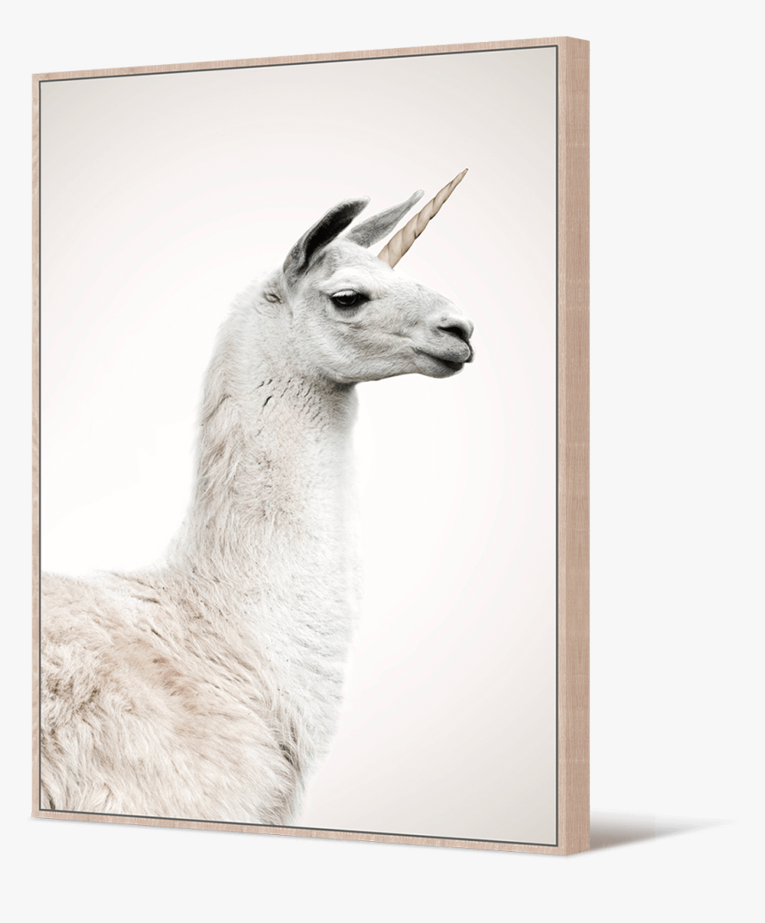 Transparent Llamas Png - Llama, Png Download , Transparent Png Image ...