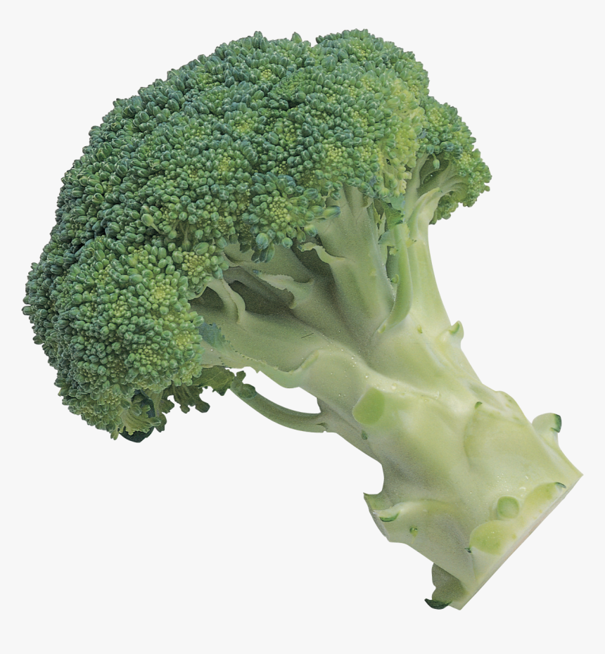 Broccoli Transparent Background, HD Png Download , Transparent Png ...