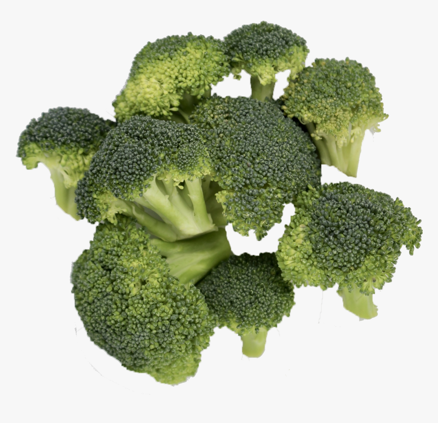 Broccoli, HD Png Download , Transparent Png Image - PNGitem
