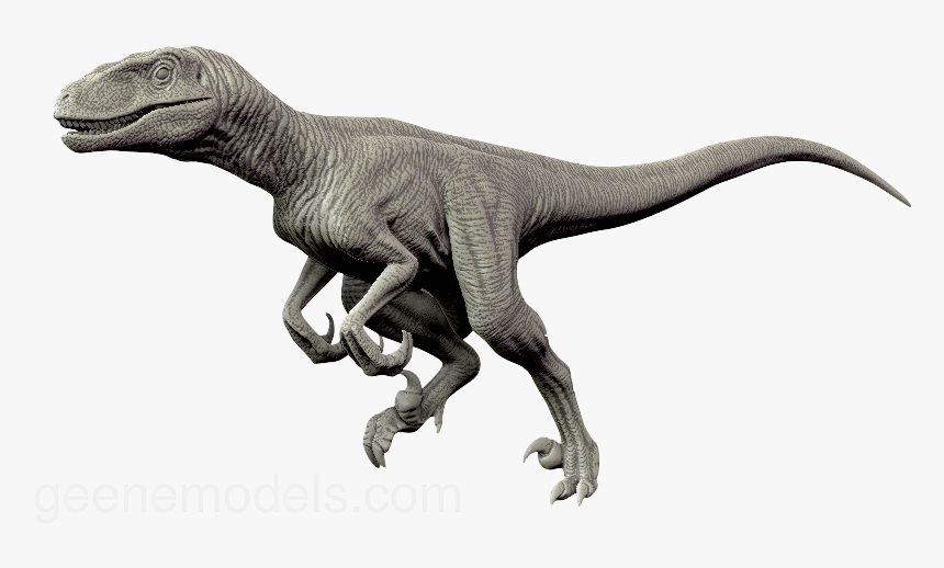 Velociraptor Png Transparent - Transparent Velociraptor Png, Png ...