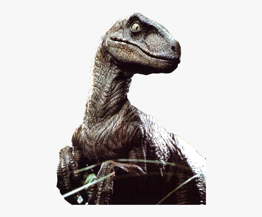 Velociraptor Png File - Jurassic Park Googly Eyes, Transparent Png ...